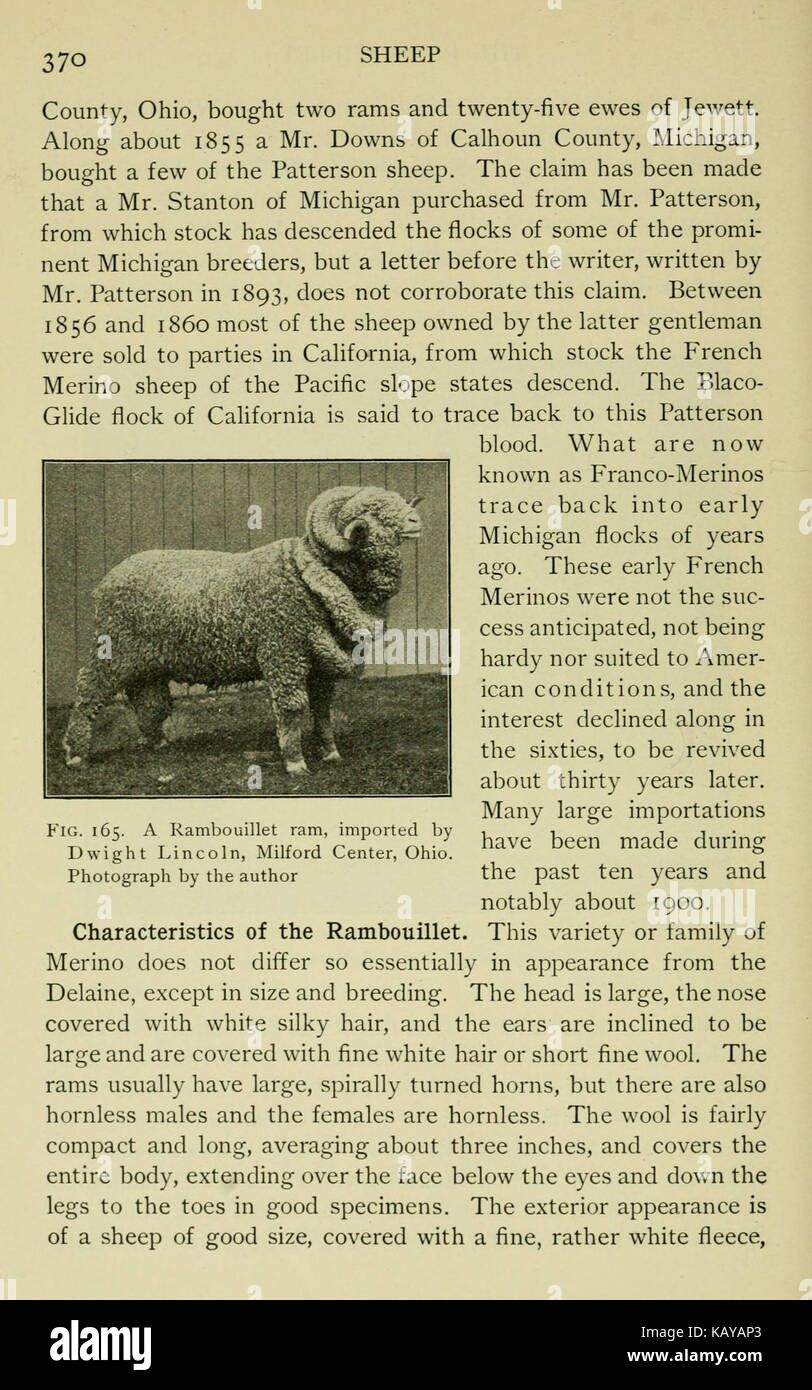 Types and breeds of farm animals (Page 370) BHL23742314 Stock Photo - Alamy