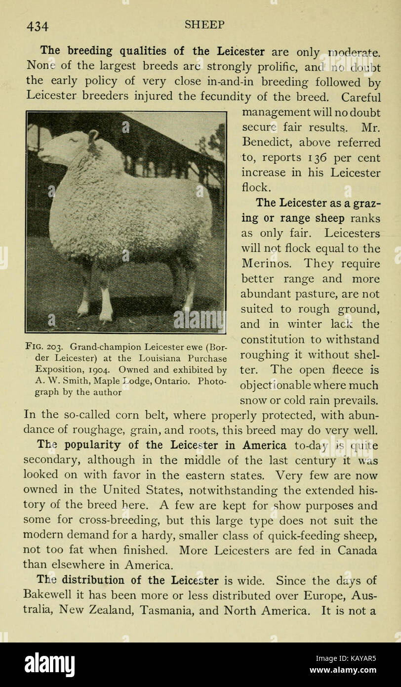 Types and breeds of farm animals (Page 434) BHL23742378 Stock Photo - Alamy