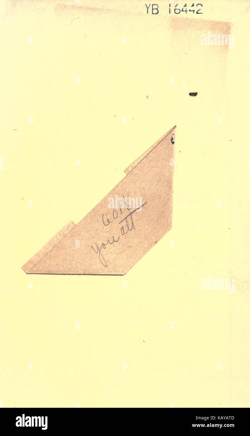 Hog anatomy hi-res stock photography and images - Alamy