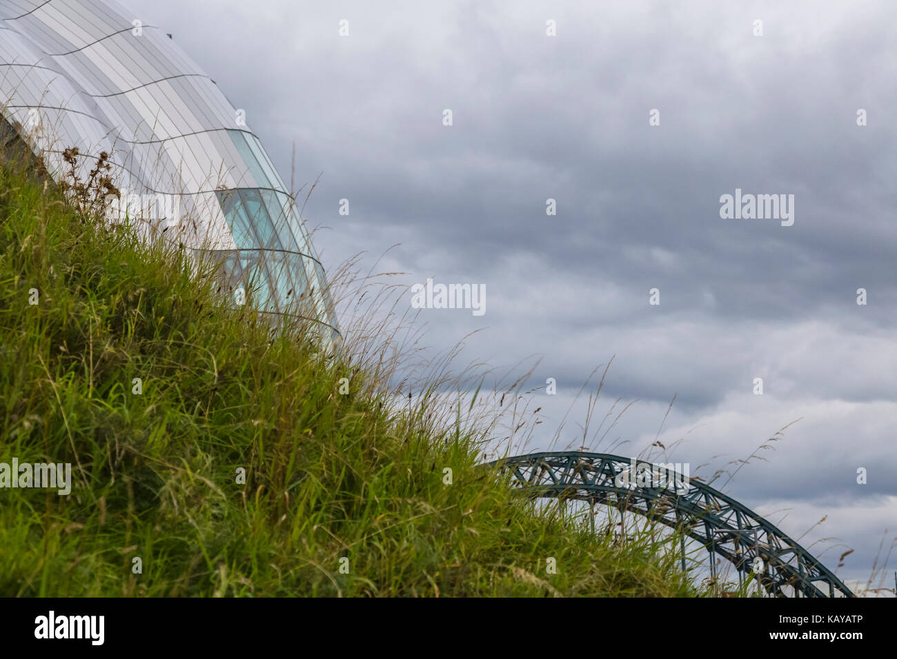 The Sage Gatehead and Tyne Bridge Peeping above Grass Bank Stock Photo ...