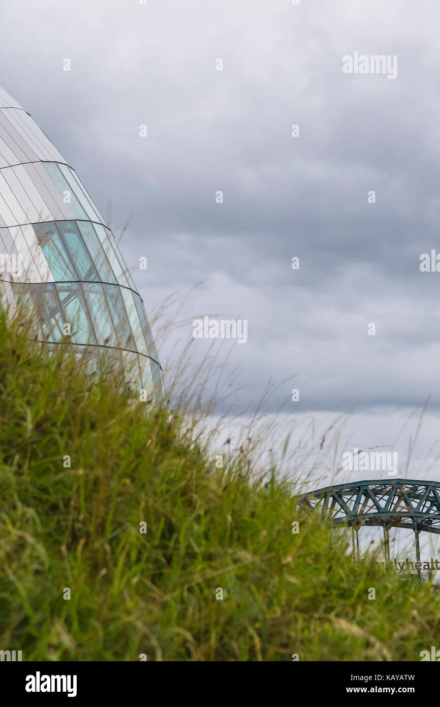 The Sage Gatehead and Tyne Bridge Peeping above Grass Bank Stock Photo ...