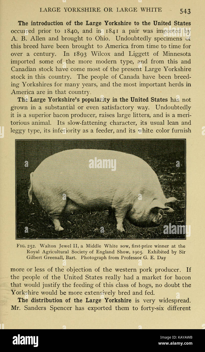 Types and breeds of farm animals (Page 543) BHL23742487 Stock Photo - Alamy