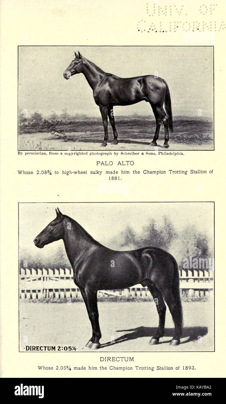 The trotting and the pacing horse in America BHL19918319 Stock Photo ...