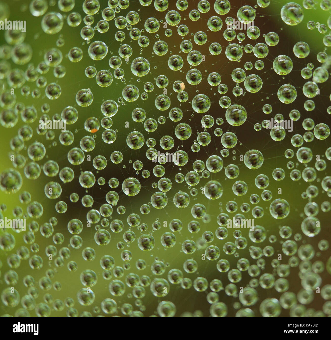 Water diffuser hi-res stock photography and images - Alamy