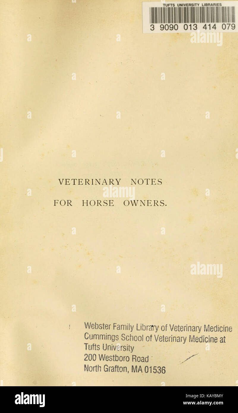 Horse notes hi-res stock photography and images - Alamy