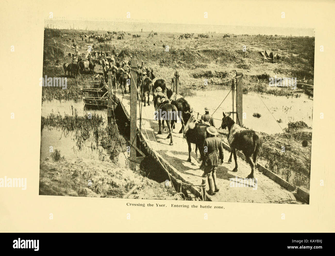 Medieval war horse hi-res stock photography and images - Alamy