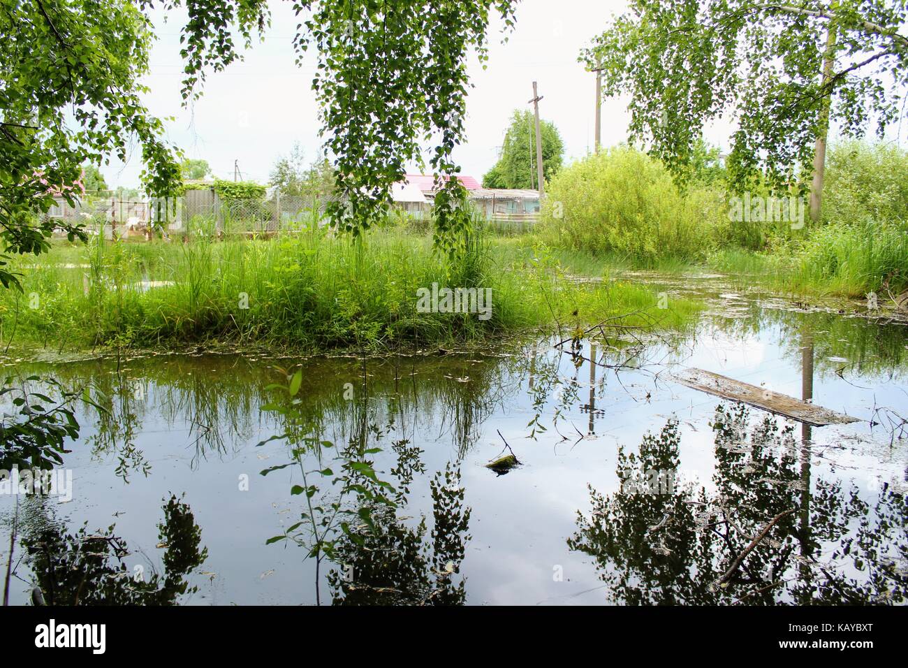 A small pond in front of the farmer's house. On the farm territory you ...