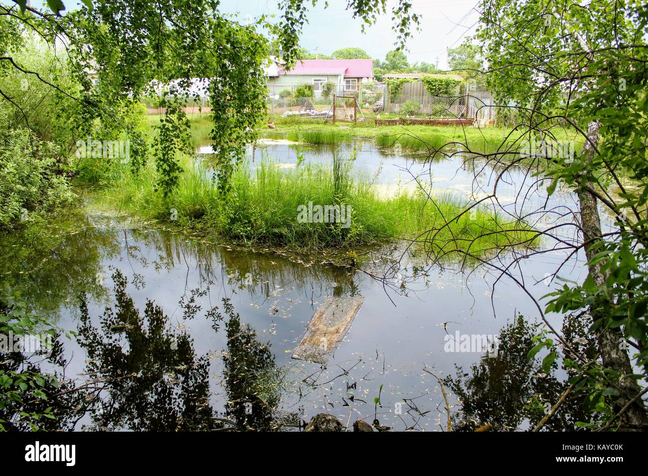 A small pond in front of the farmer's house. On the farm territory you ...