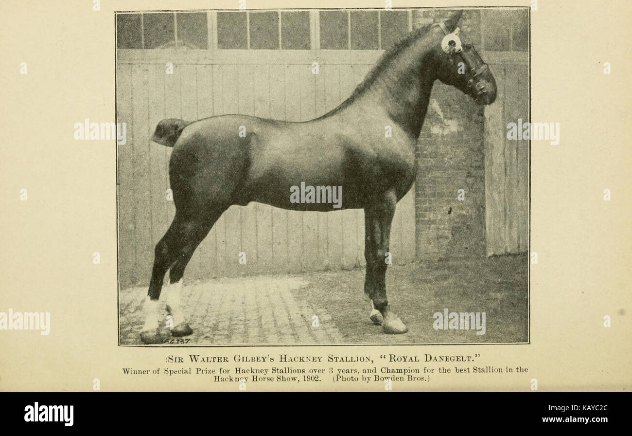 This illustration from *The Horse* depicts the anatomy and behavior of ...