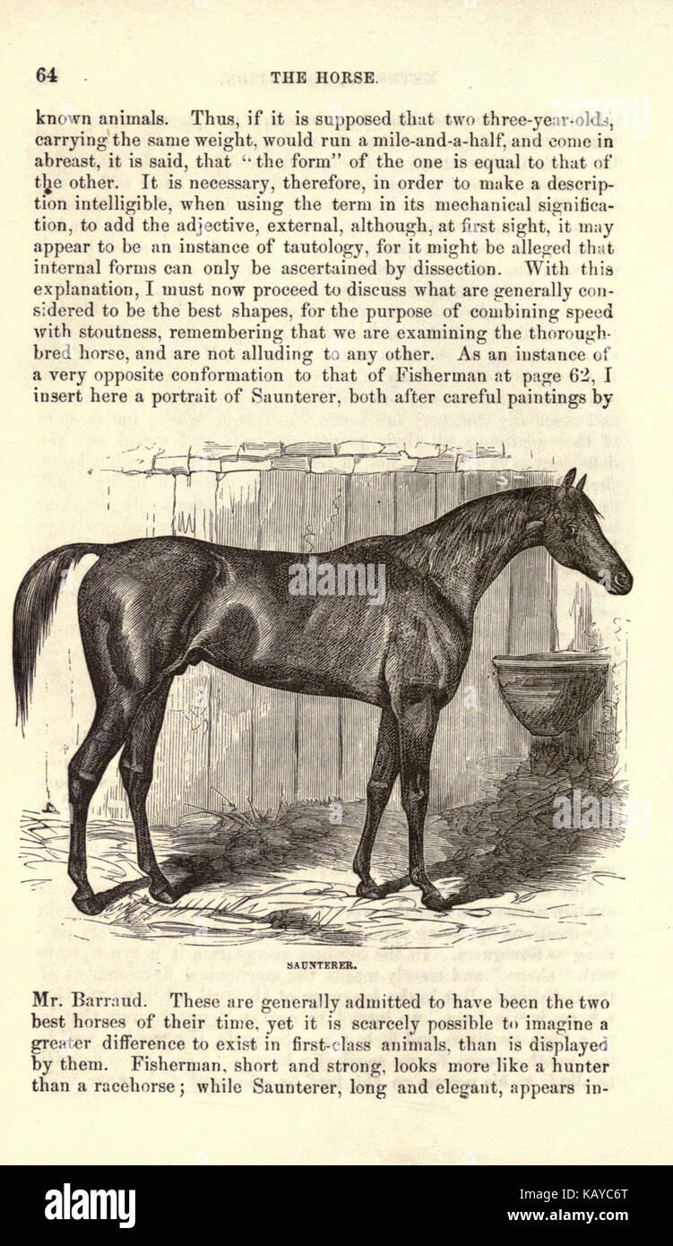 A comprehensive study from a historical text on the role of horses both ...