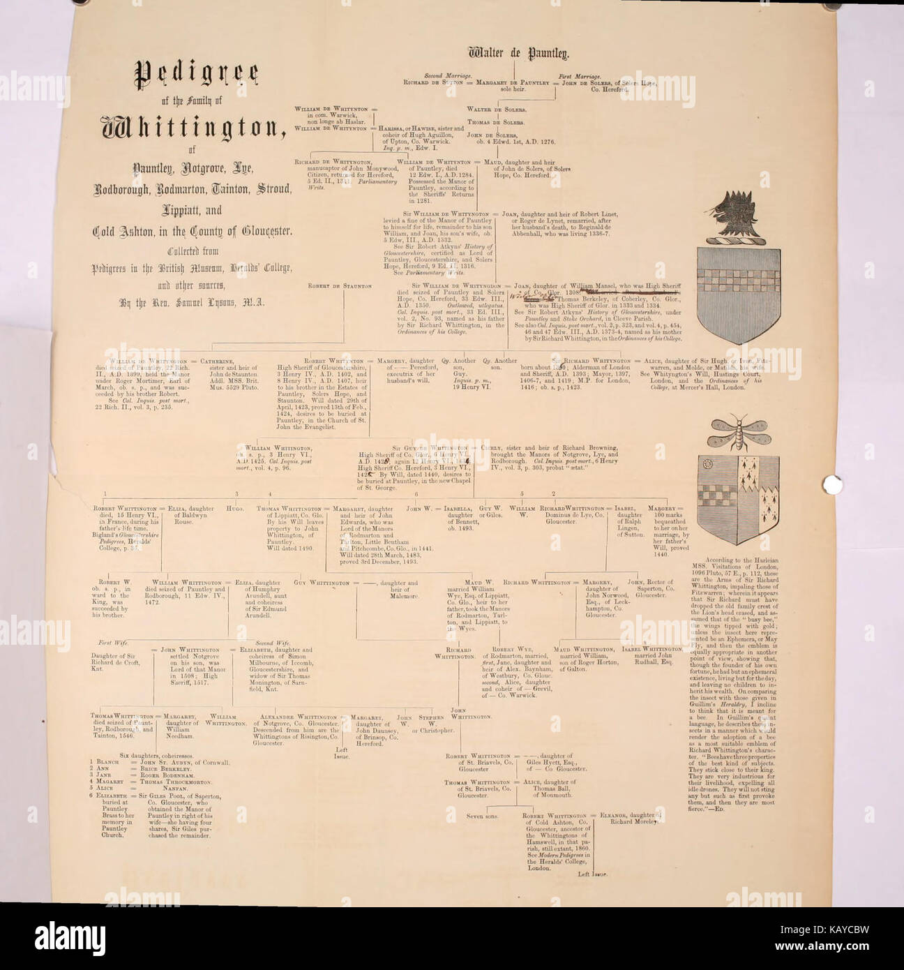 Merchant middle ages hi-res stock photography and images - Alamy
