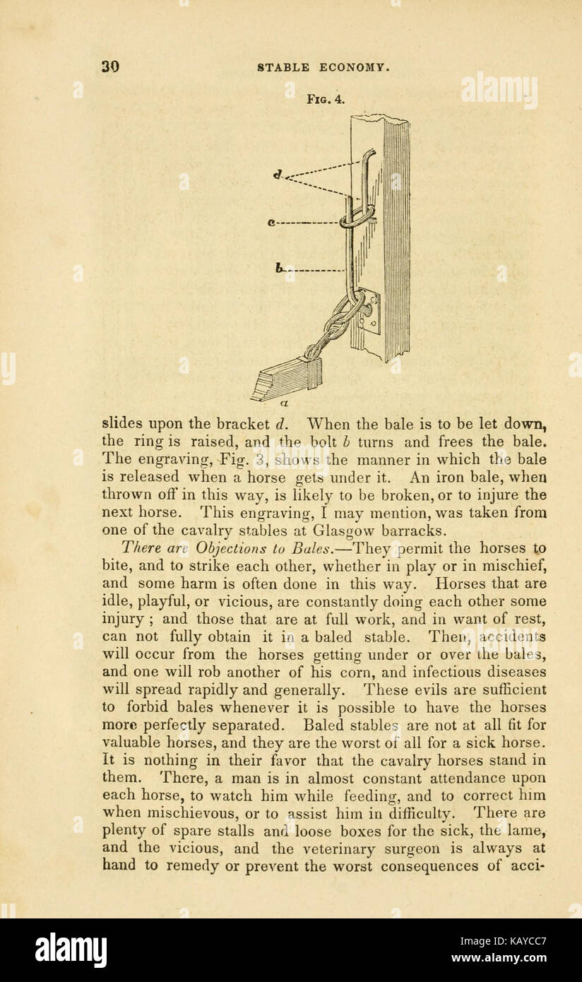 The stable book (Page 30) BHL24240925 Stock Photo - Alamy