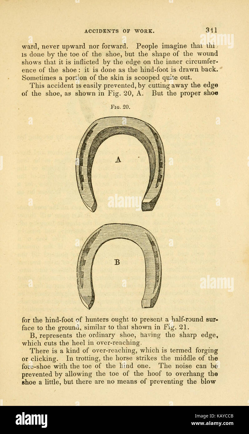 Stable book hi-res stock photography and images - Alamy