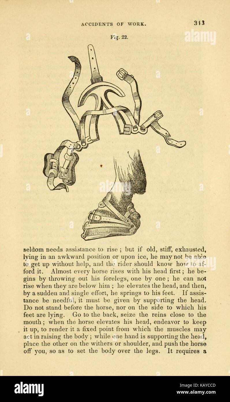 Stable book hi-res stock photography and images - Alamy