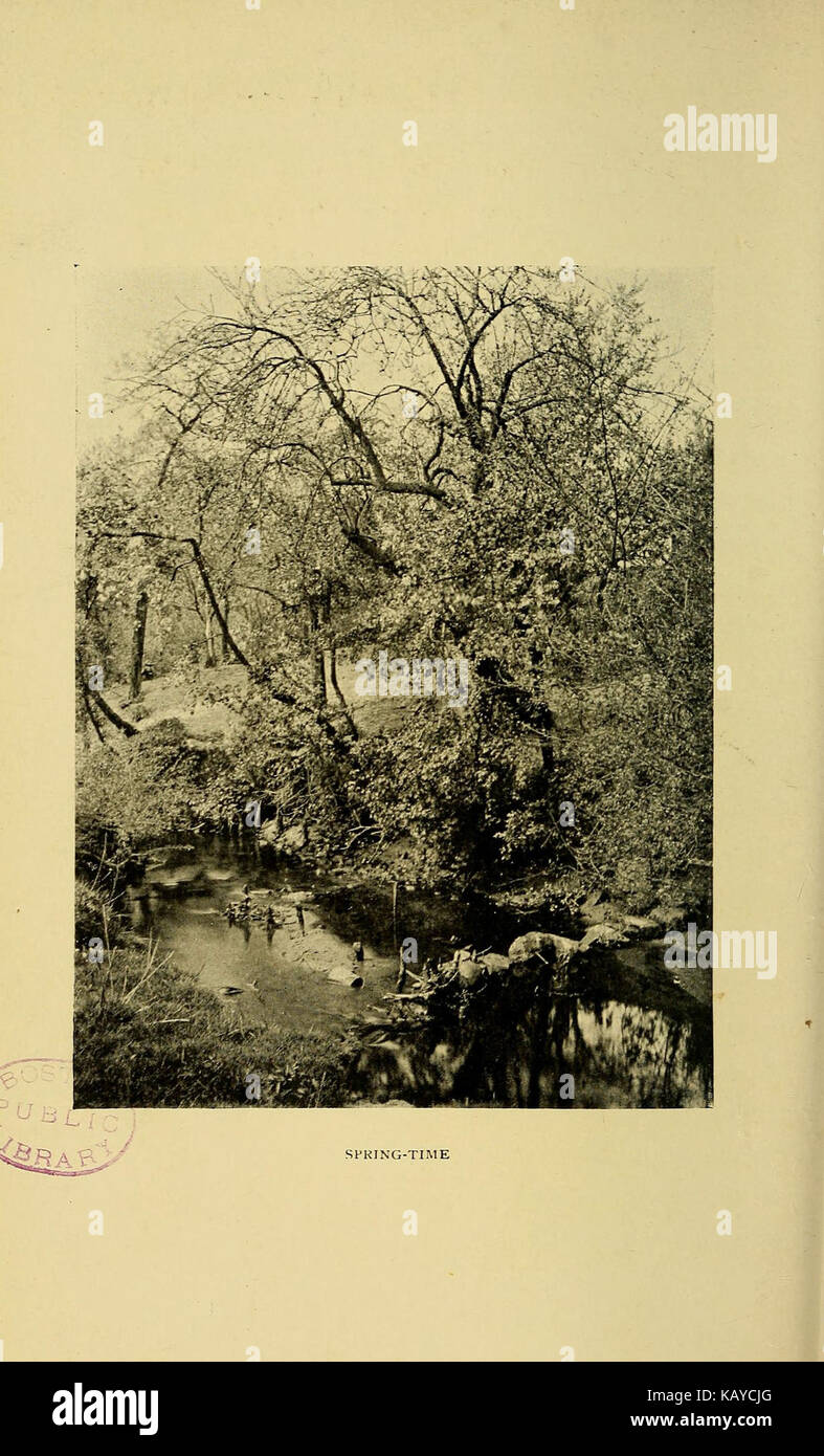 Trees in nature, myth and art (Plate) (6376507351 Stock Photo - Alamy