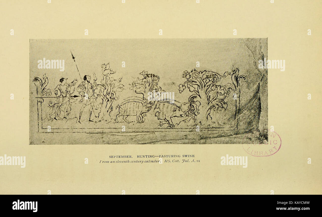 Trees in nature, myth and art (Plate) (6376513531 Stock Photo - Alamy