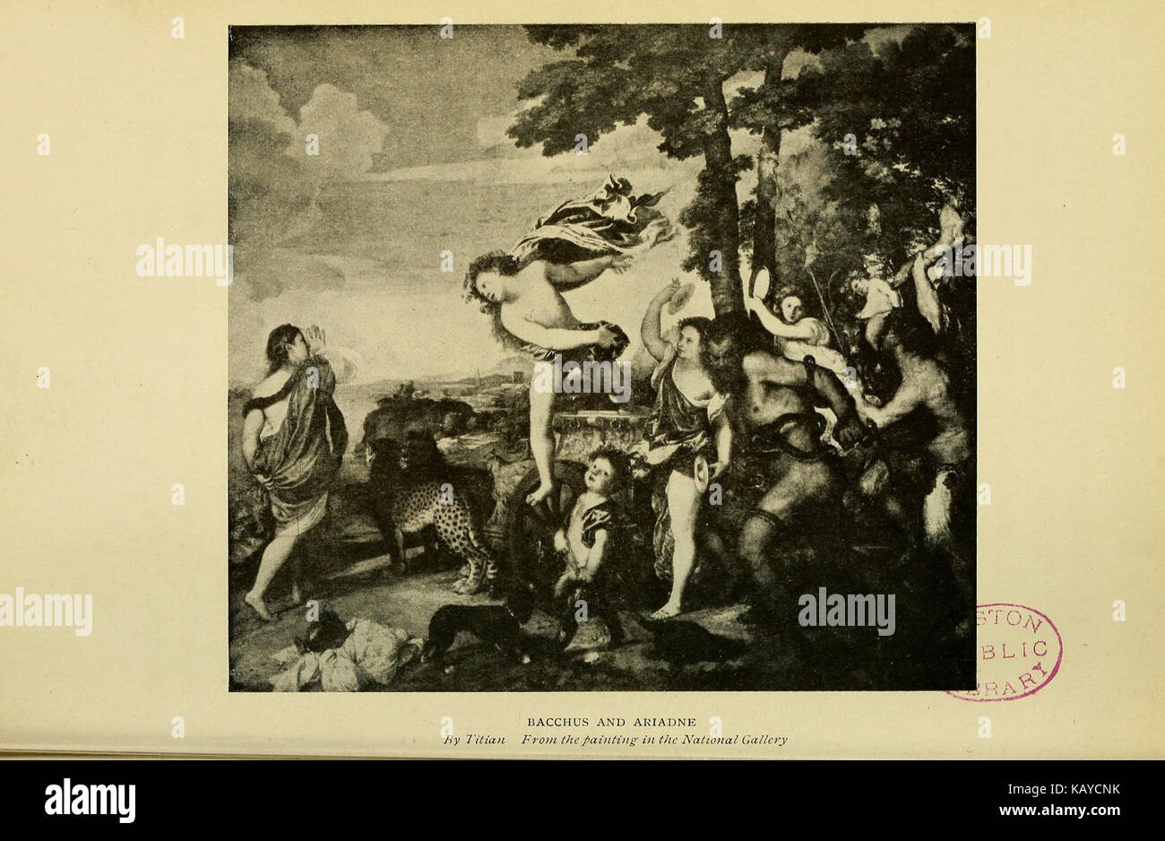 Trees in nature, myth and art (Plate) (6376514537 Stock Photo - Alamy