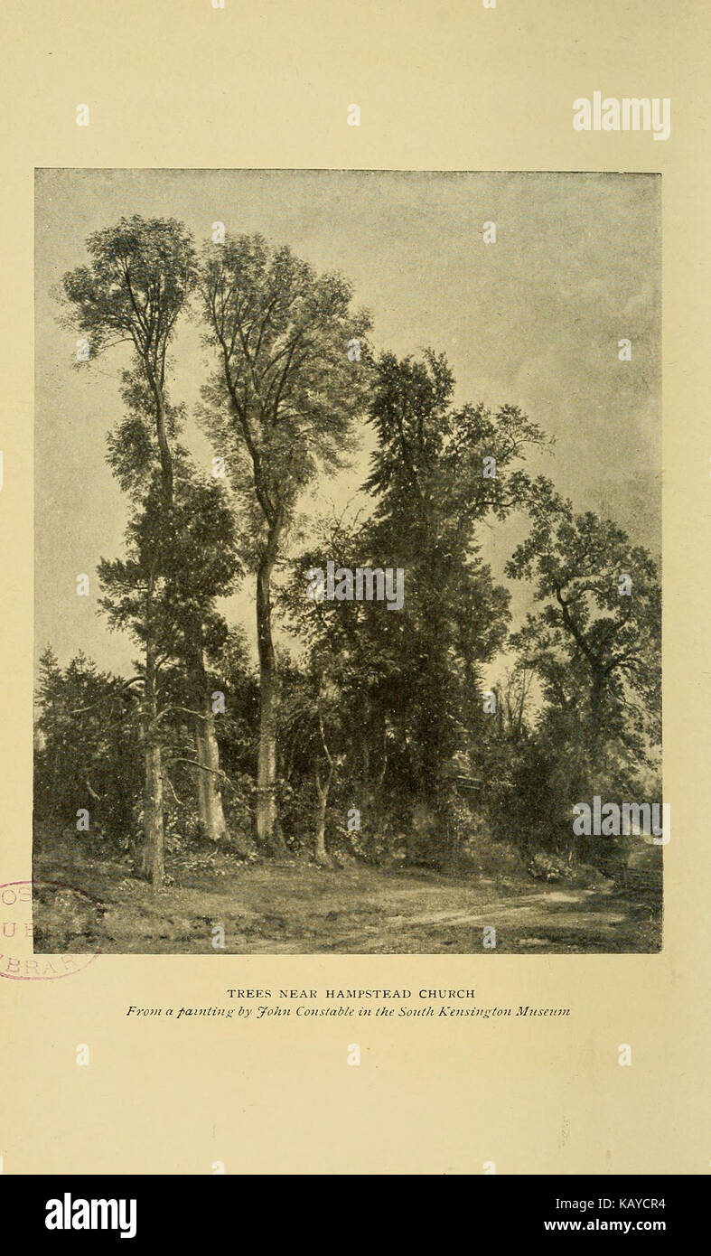 Trees in nature, myth and art (Plate) (6376516023 Stock Photo - Alamy