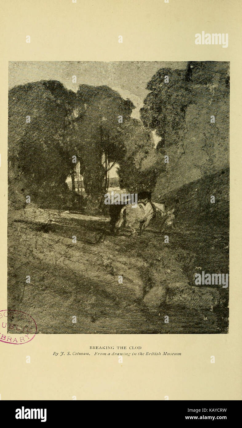 Trees in nature, myth and art (Plate) (6376516795 Stock Photo - Alamy