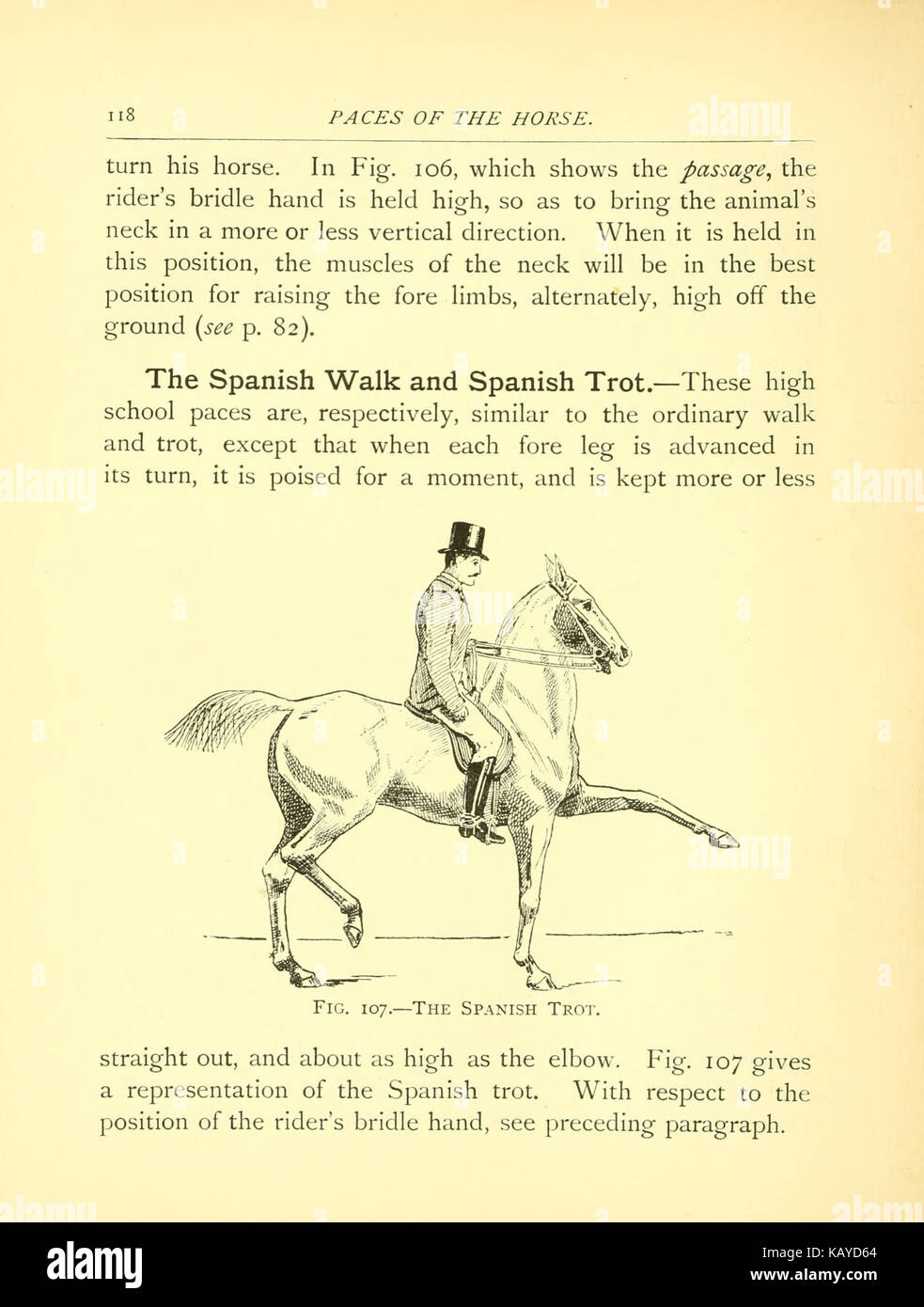 The points of the horse (Page 118) BHL24292405 Stock Photo - Alamy