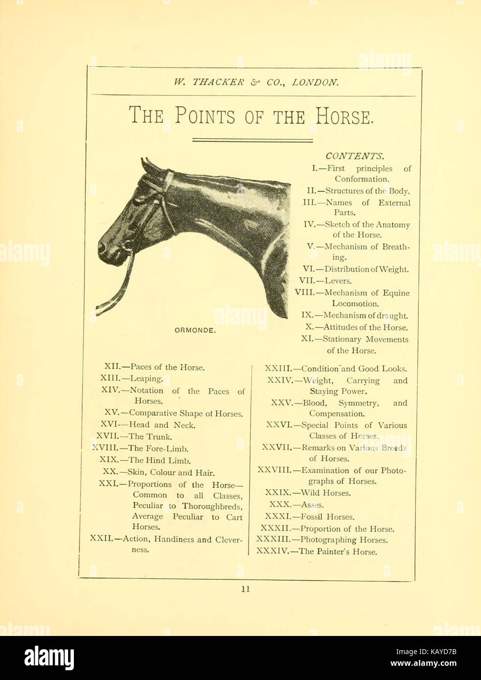 This page from a publication details the various points on a horse's ...
