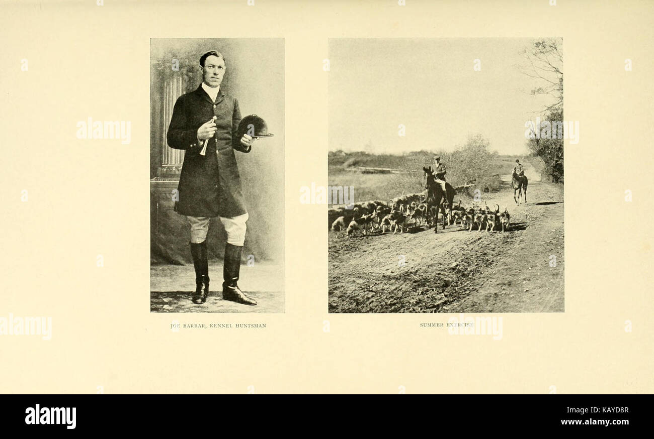 The hunts of the United States and Canada BHL19010704 Stock Photo - Alamy