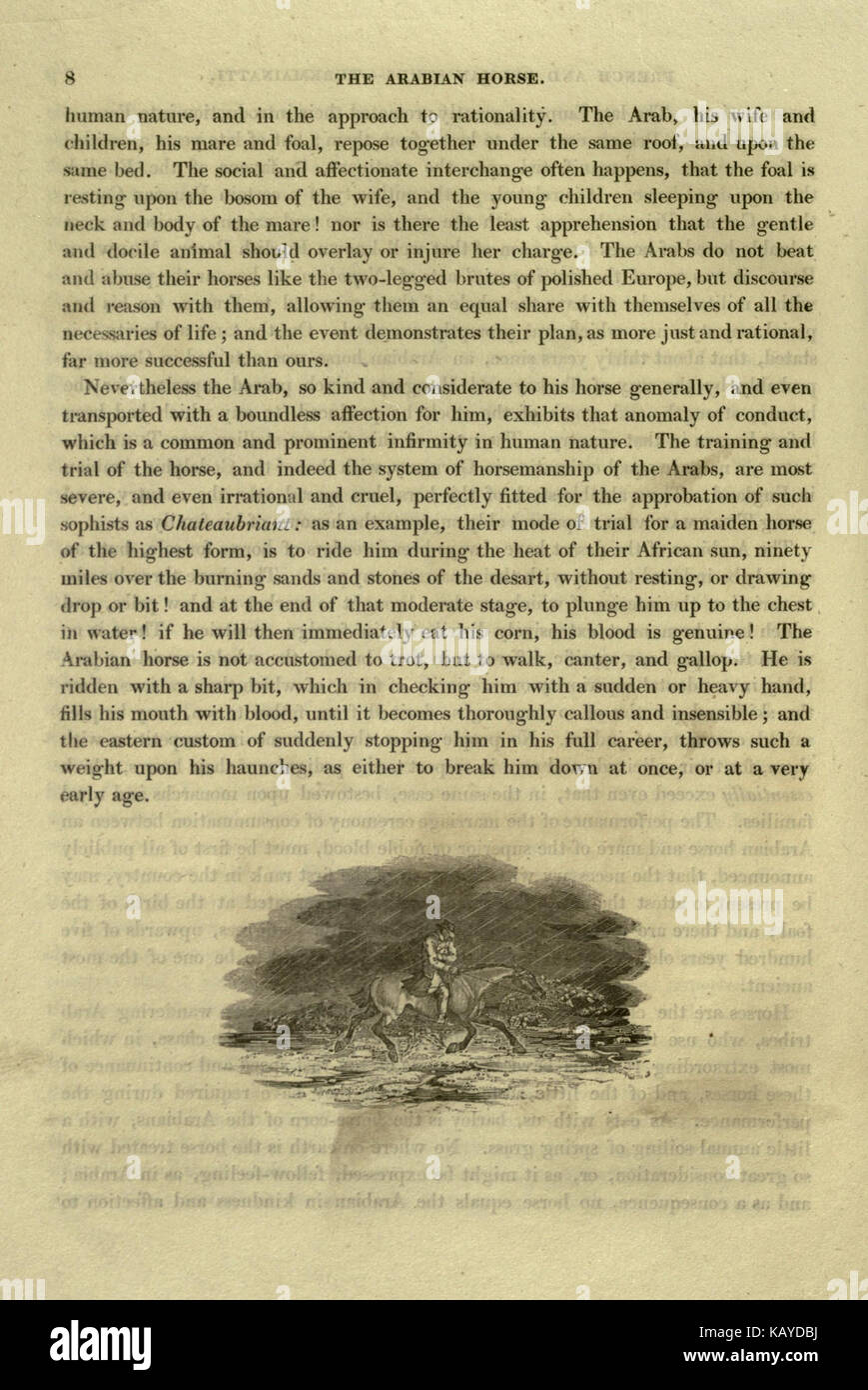 Water repository hi-res stock photography and images - Alamy