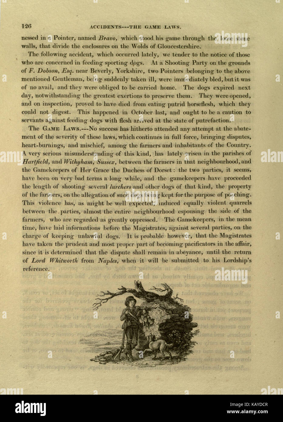 Map repository hi-res stock photography and images - Alamy