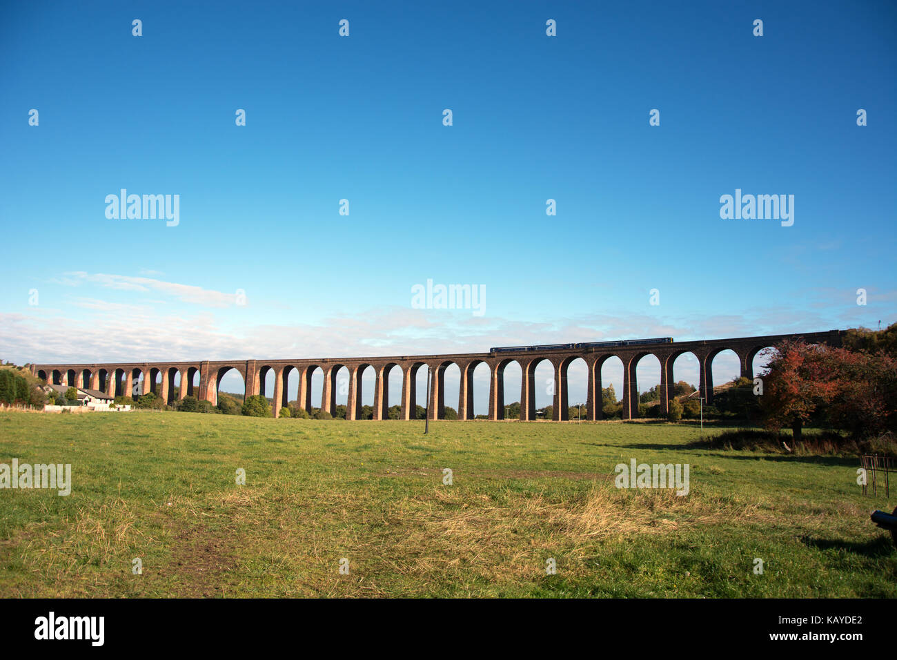 Viaduct with train crossing Stock Photo - Alamy