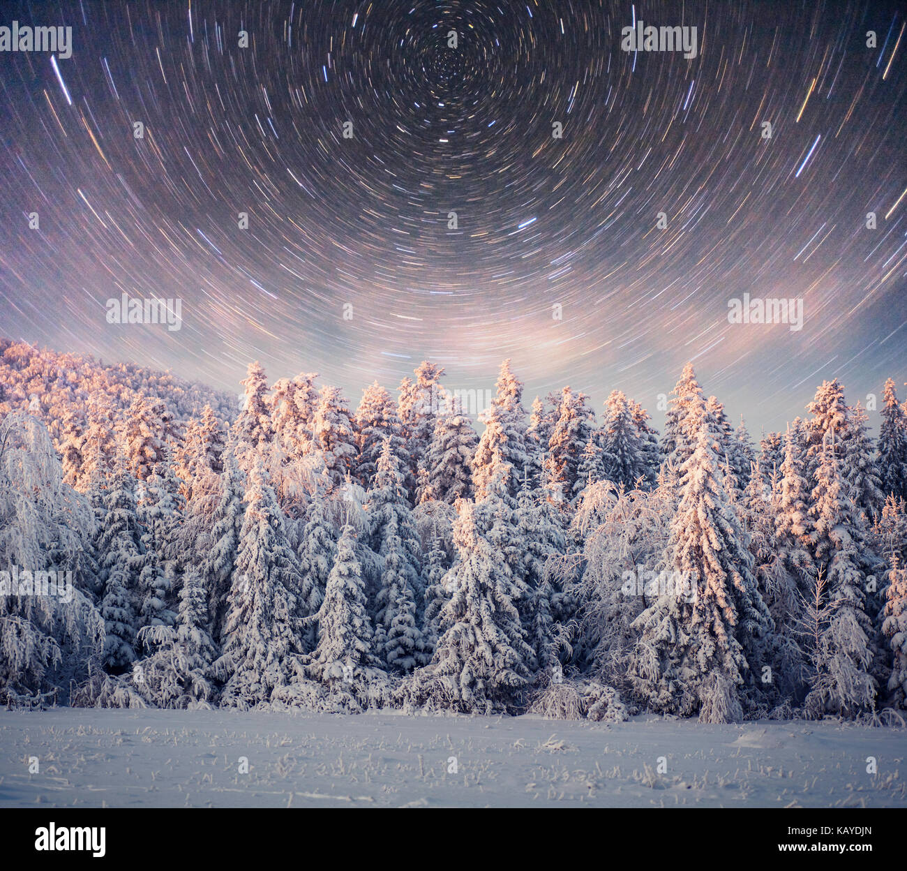 starry sky in winter snowy night. fantastic milky way in the New Year's Eve. In anticipation of ...