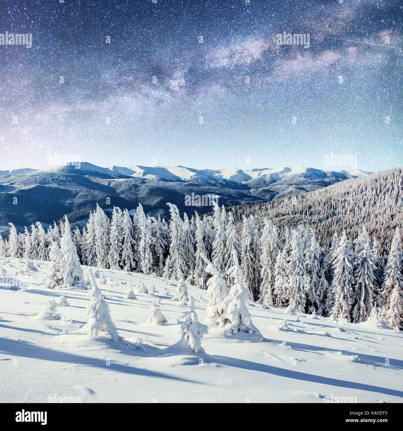 starry sky in winter snowy night. fantastic milky way in the New Year's Eve. In anticipation of ...