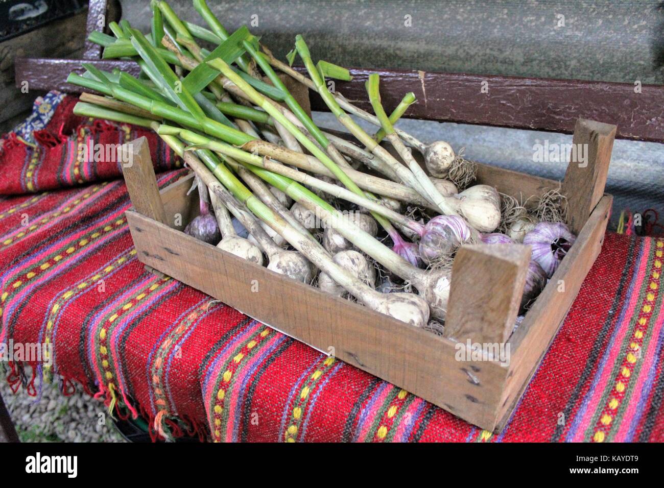 A wooden box in which there are heads of garlic Stock Photo - Alamy