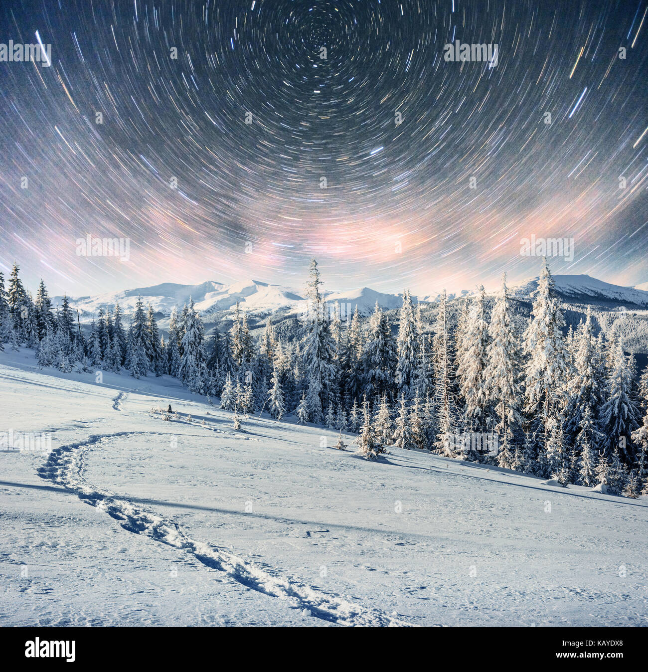 starry sky in winter snowy night. fantastic milky way in the New Year's Eve. In anticipation of ...