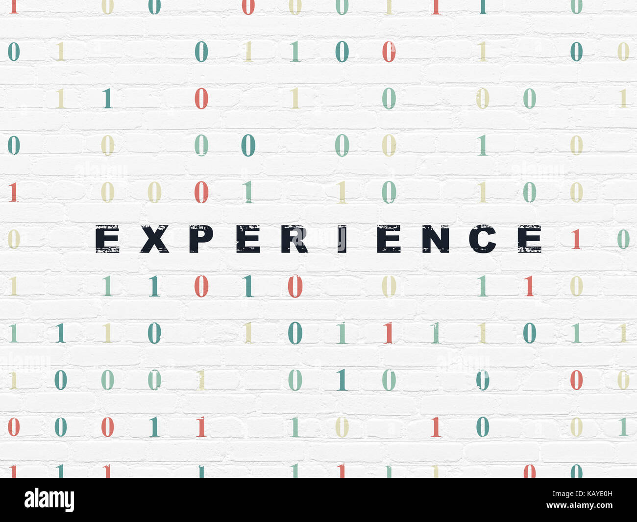 Business concept: Experience on wall background Stock Photo - Alamy
