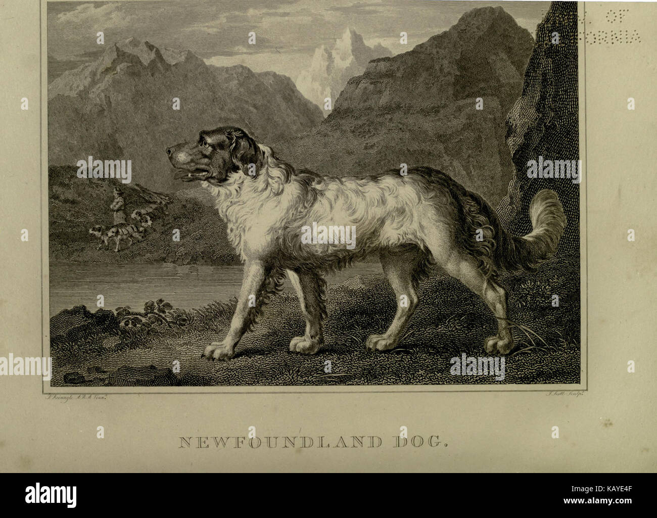 A detailed plate from *The Sportsman's Repository*, showcasing a scene ...