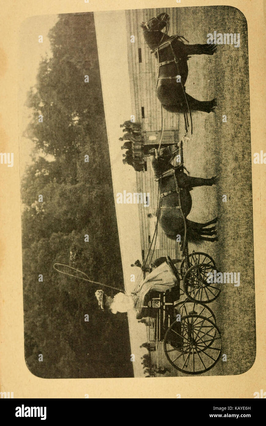 The Harness makers' guide BHL21847864 Stock Photo - Alamy