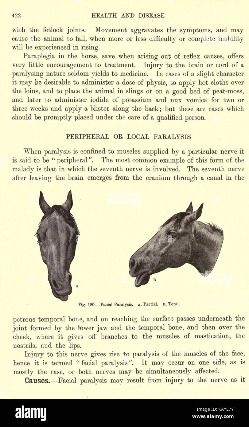 This page from *The Horse* features illustrations and information about ...
