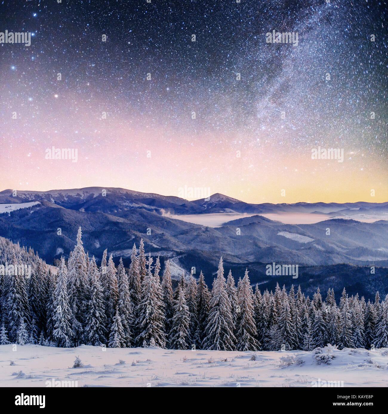 starry sky in winter snowy night. fantastic milky way in the New Year's Eve. In anticipation of ...