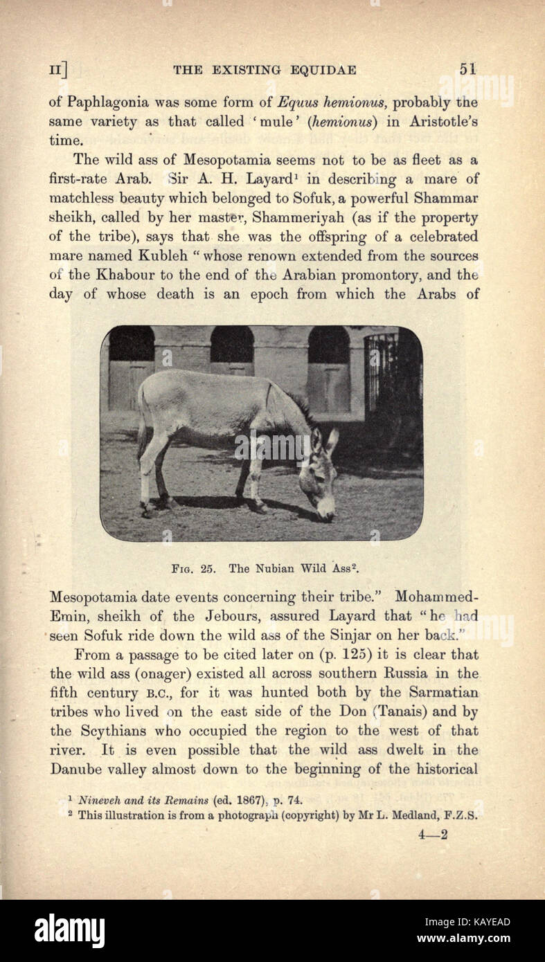 This page from 'The Origin and Influence of the Thoroughbred Horse ...