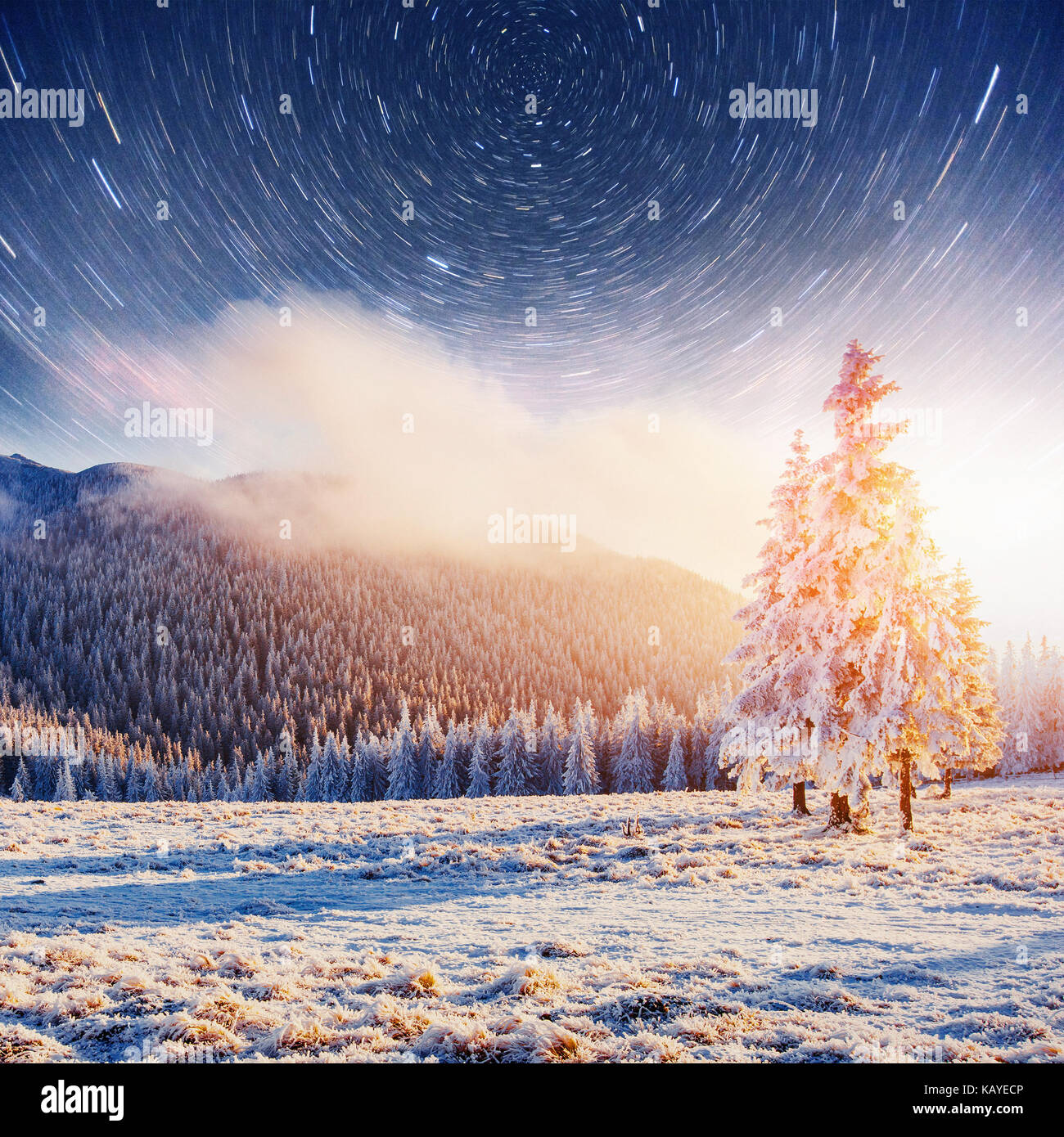 starry sky in winter snowy night. fantastic milky way in the New Year's Eve. In anticipation of ...
