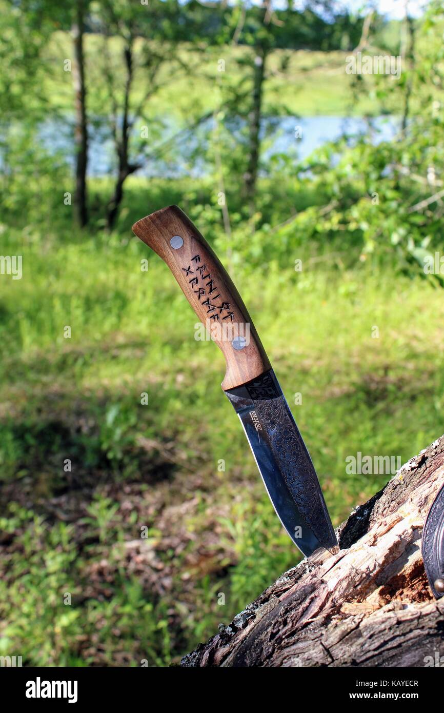 A beautiful knife with a wooden handle is stuck into a tree trunk in ...