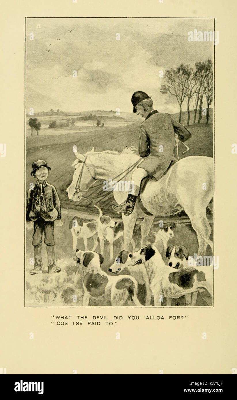 Water snaffle hi-res stock photography and images - Alamy