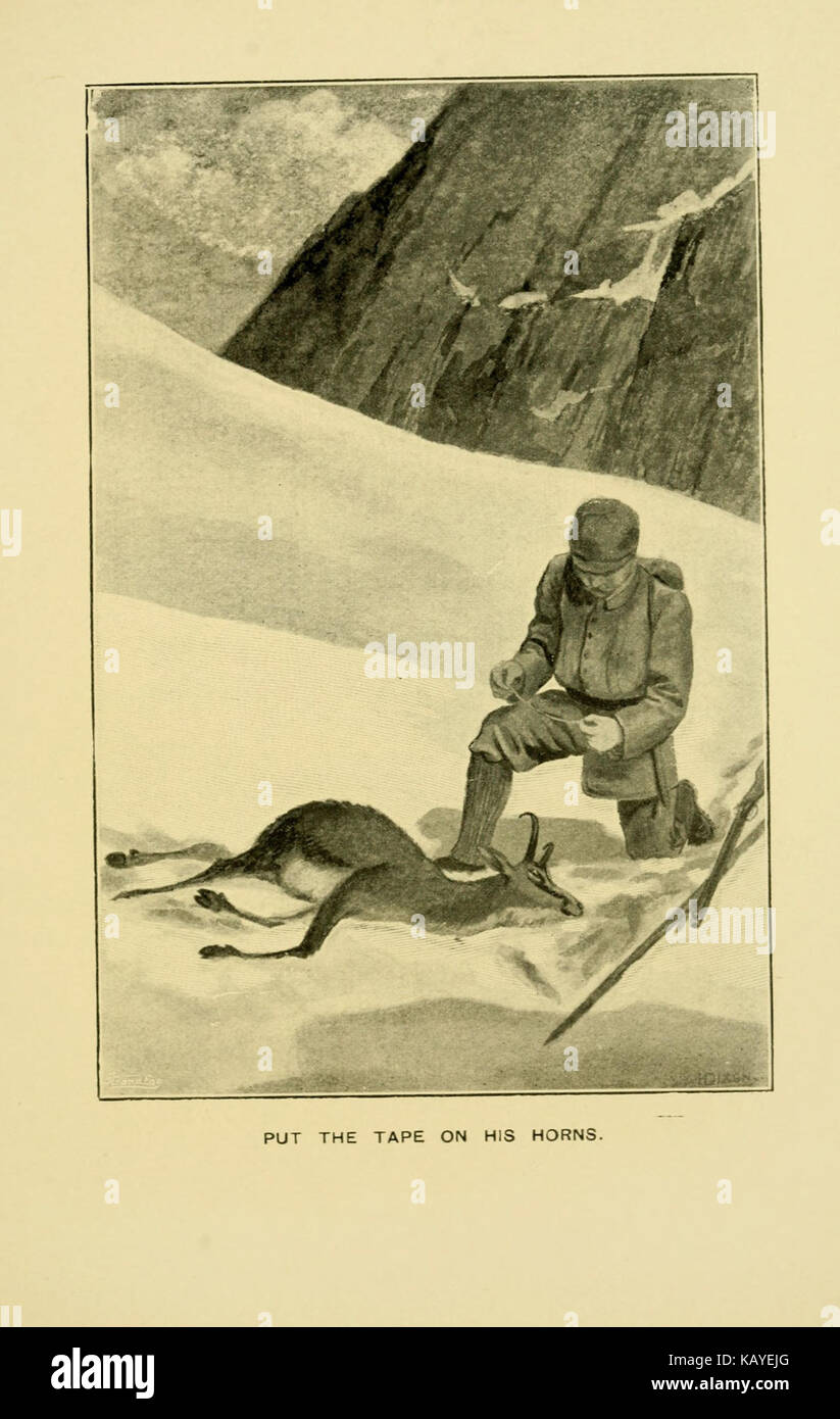 Water snaffle hi-res stock photography and images - Alamy