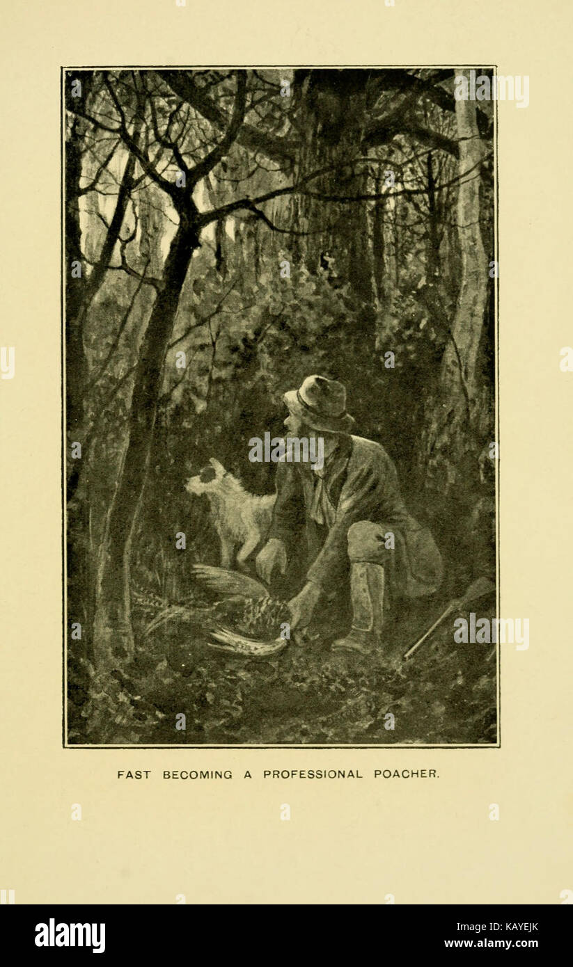 Water snaffle hi-res stock photography and images - Alamy