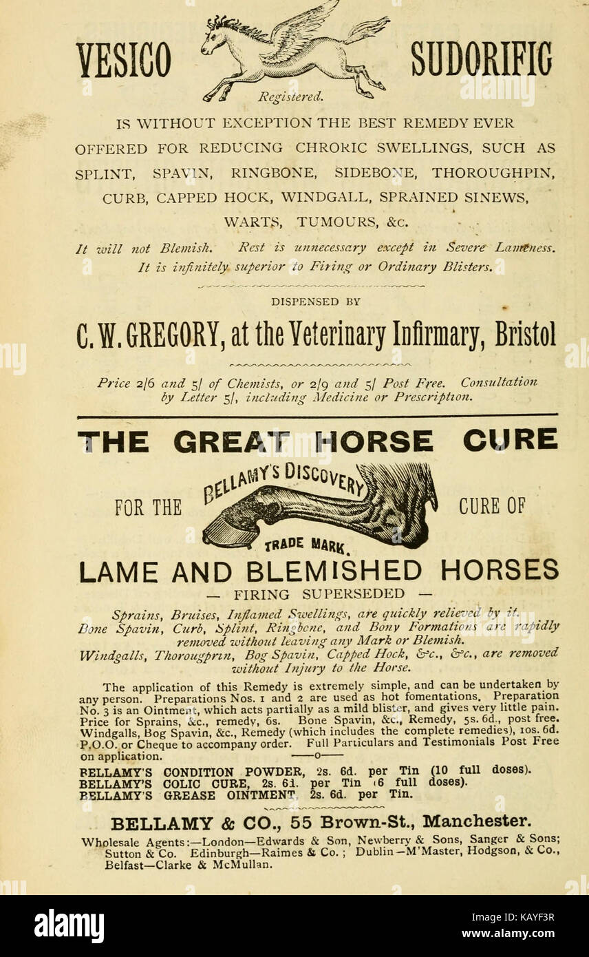 The management and treatment of the horse in the stable, field, and on ...