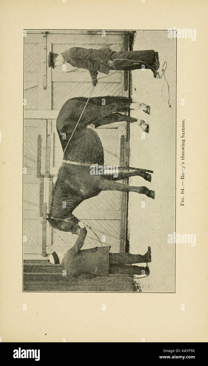 This page from 'The Training and Breaking of Horses' details methods ...