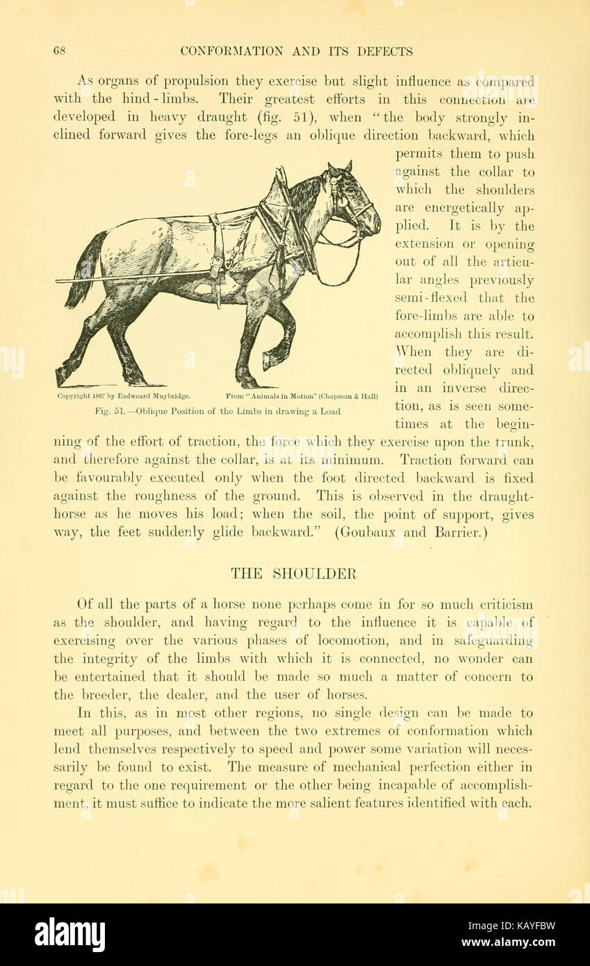 An educational illustration titled 'The Horse,' from a scientific or ...