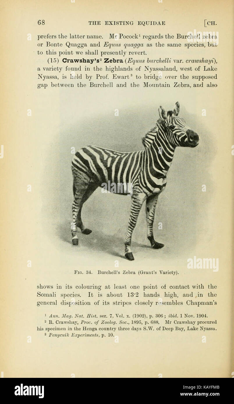 The origin and influence of the thoroughbred horse (Page 68 ...