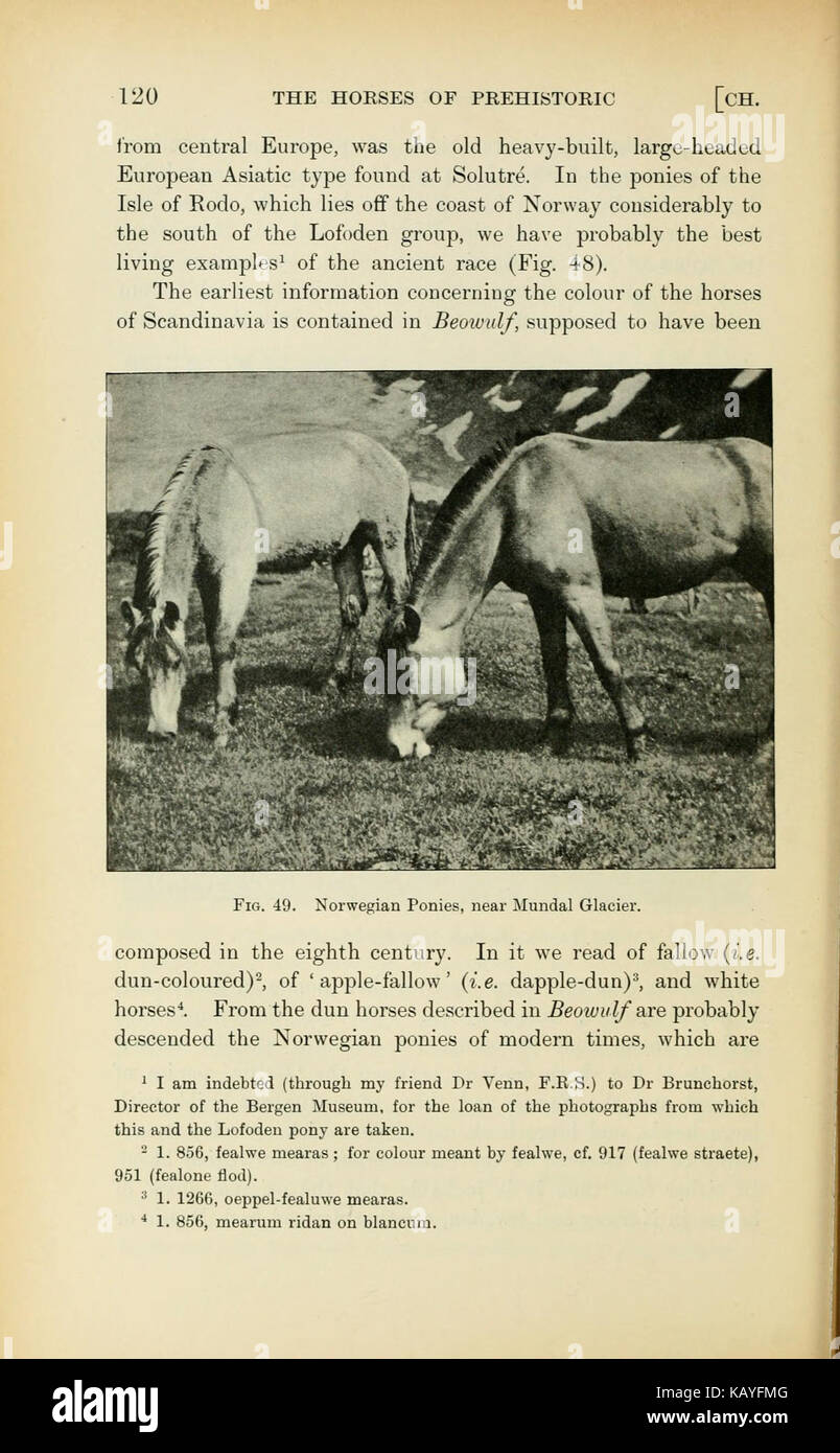 The origin and influence of the thoroughbred horse (Page 120 ...