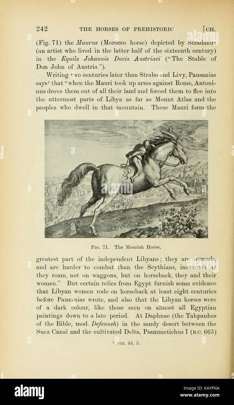 The origin and influence of the thoroughbred horse (Page 242 ...